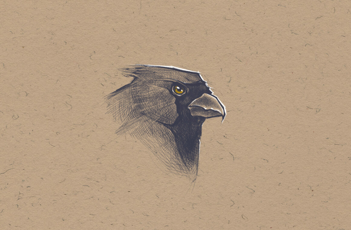 Bocetos de aves - Giu Magnani