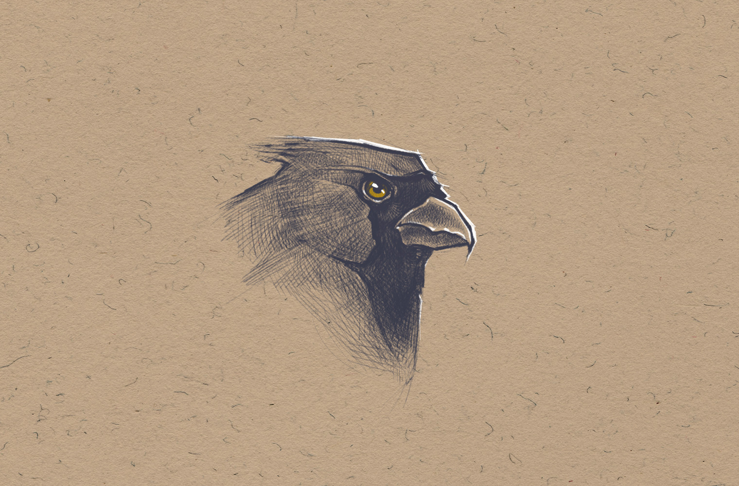 Bocetos de aves - Giu Magnani